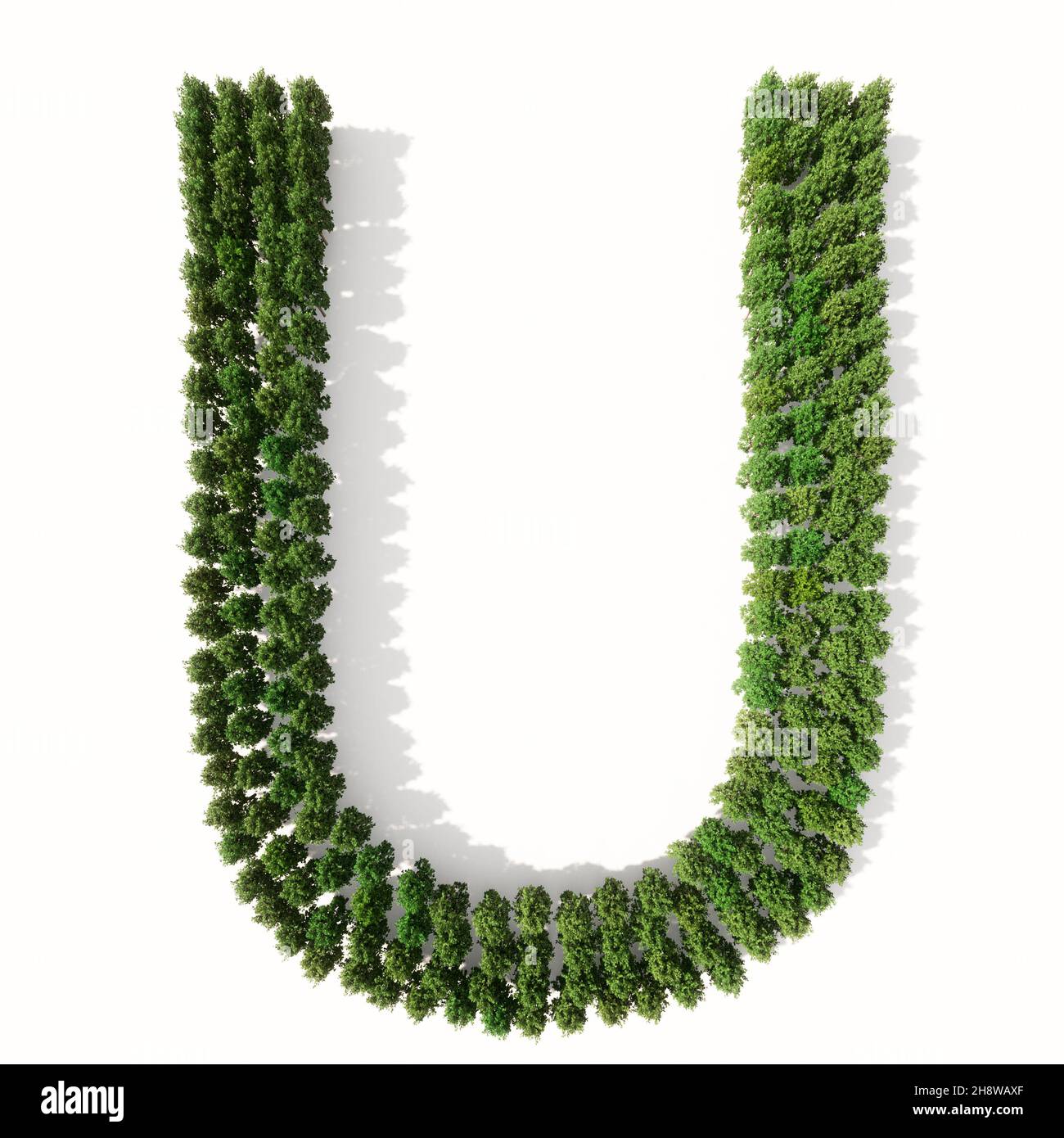 Concept or conceptual group of green forest tree isolated on white ...