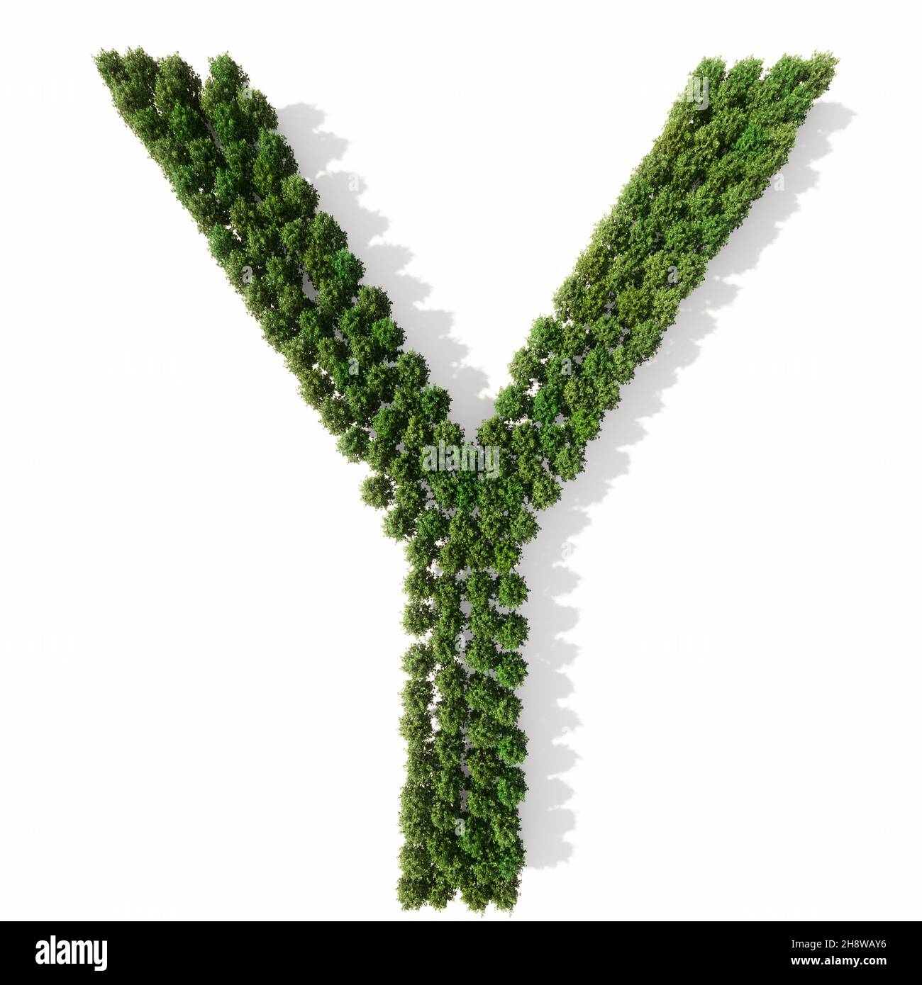 The Letter Y In Nature