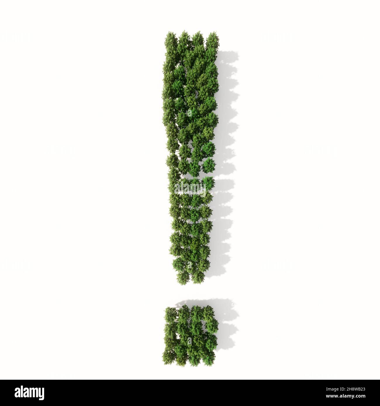 Concept or conceptual group of green forest tree isolated on white ...