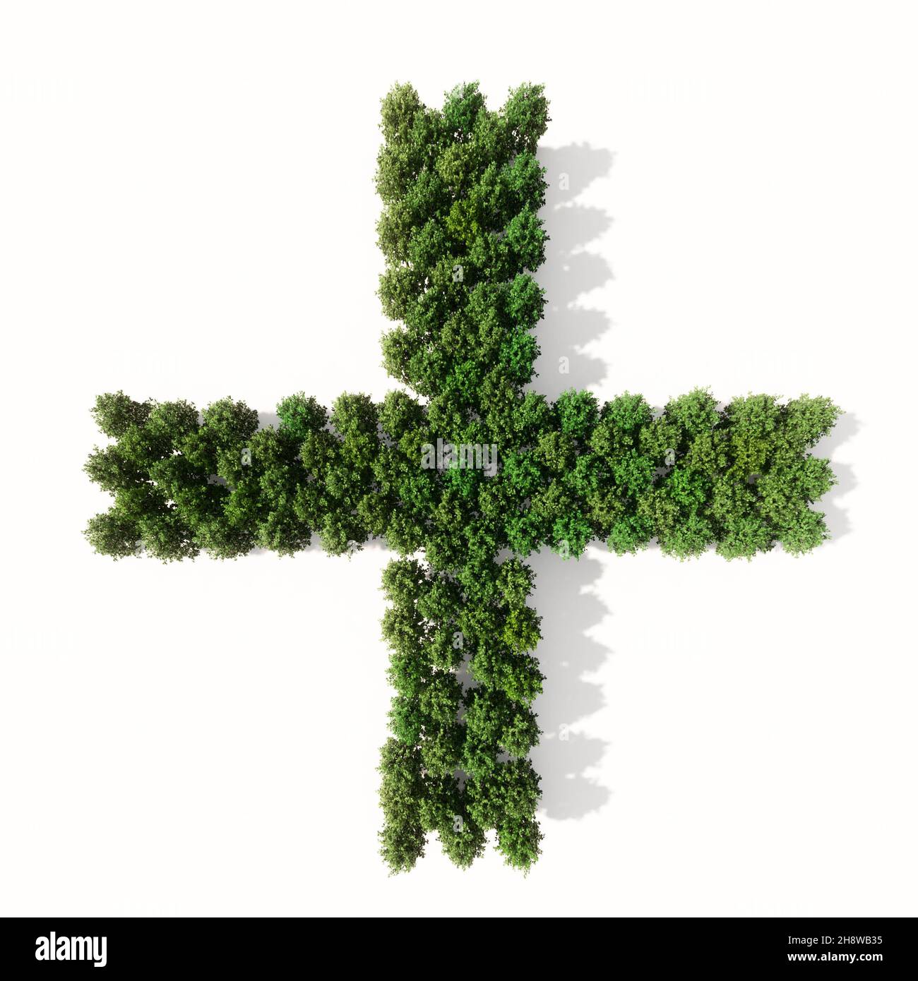 Concept or conceptual group of green forest tree isolated on white ...