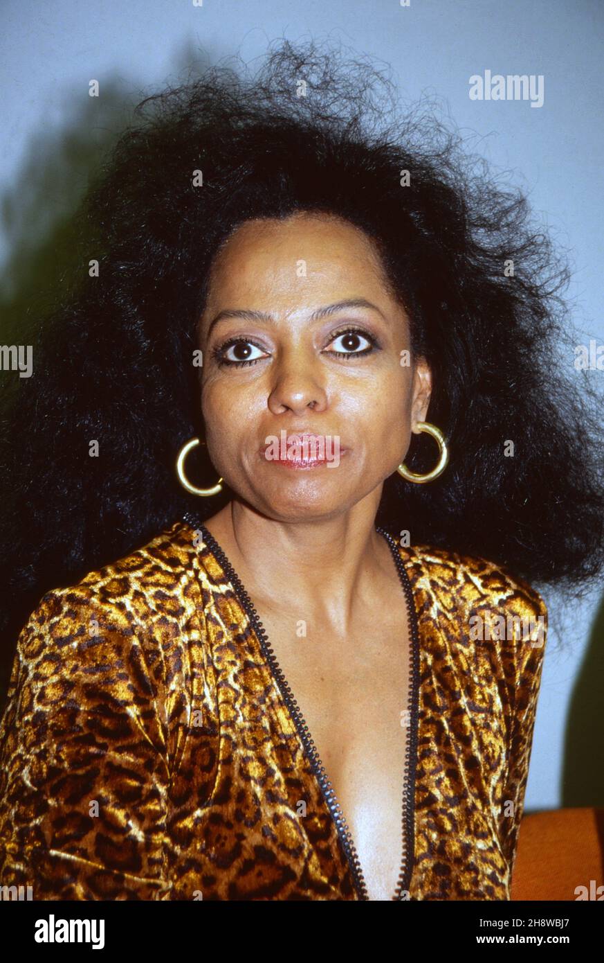 Diana Singer's Instagram, Twitter & Facebook on IDCrawl