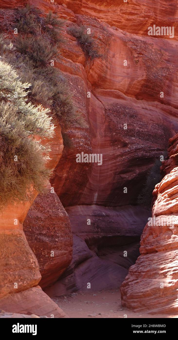 Zion canyons steep red cliffs hi-res stock photography and images - Alamy