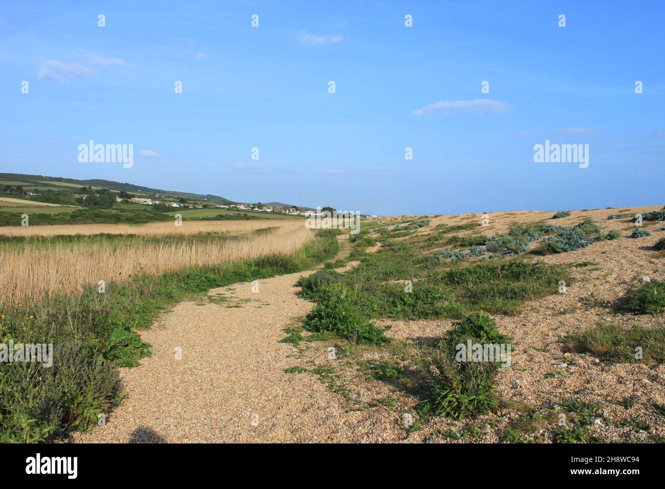 Chesil Beach. The England south west coast path. Jurassic Coast. Dorset ...