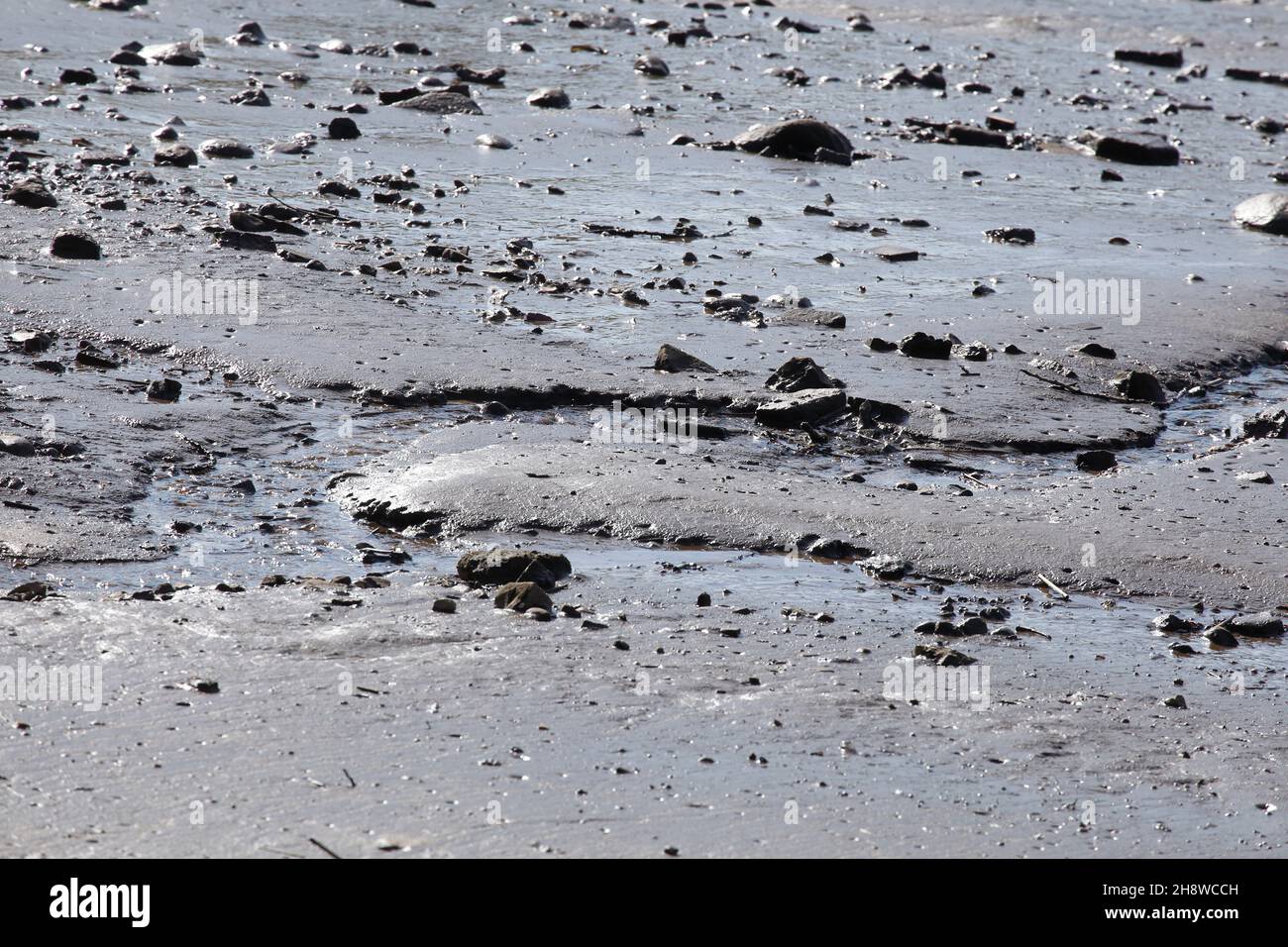 Silt in a river at low tide Stock Photo - Alamy