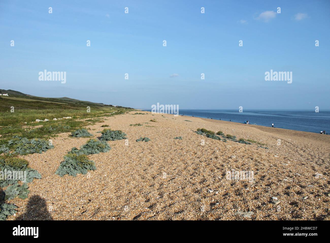 Chesil Beach. The England south west coast path. Jurassic Coast. Dorset ...