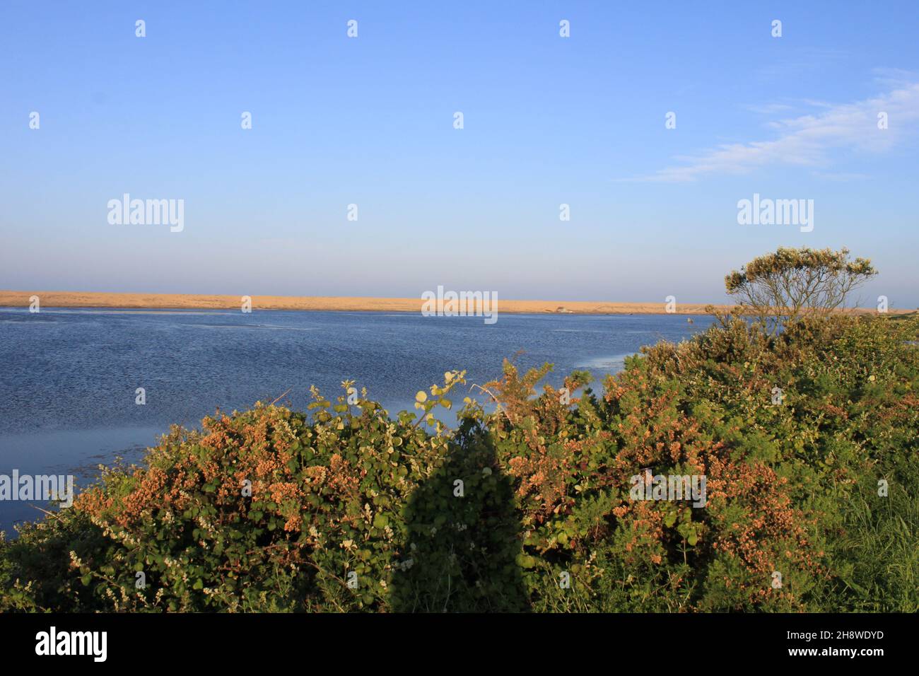 Fleet Lagoon. The England south west coast path. Jurassic Coast. Dorset ...