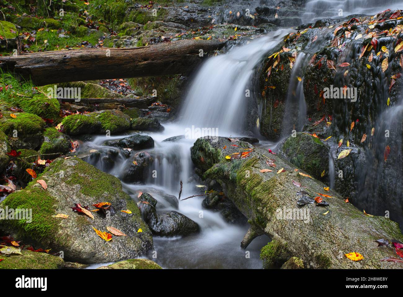 Talcott falls hi-res stock photography and images - Alamy