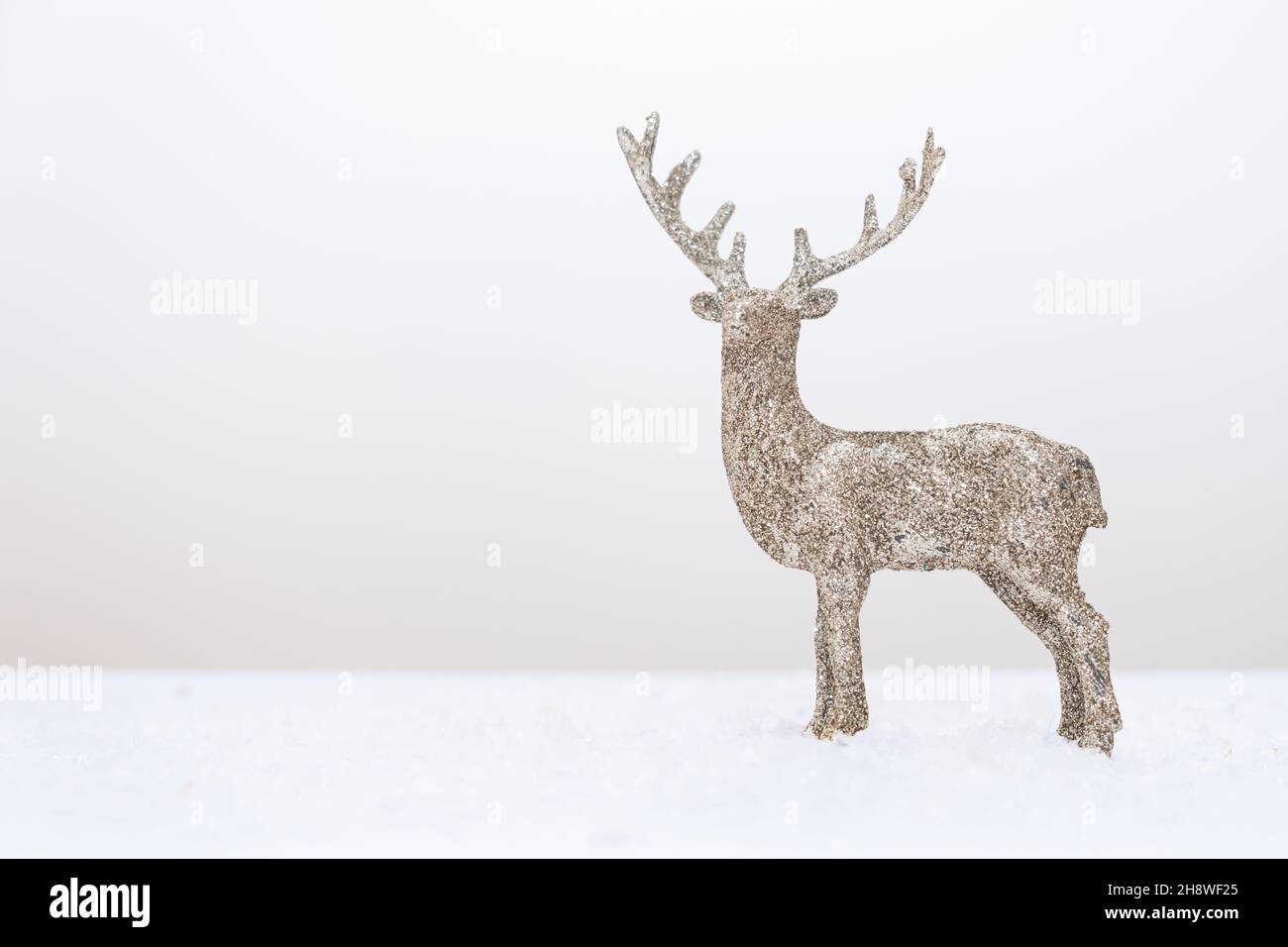 Decoration Christmas deer dear with snow white background copy space ...