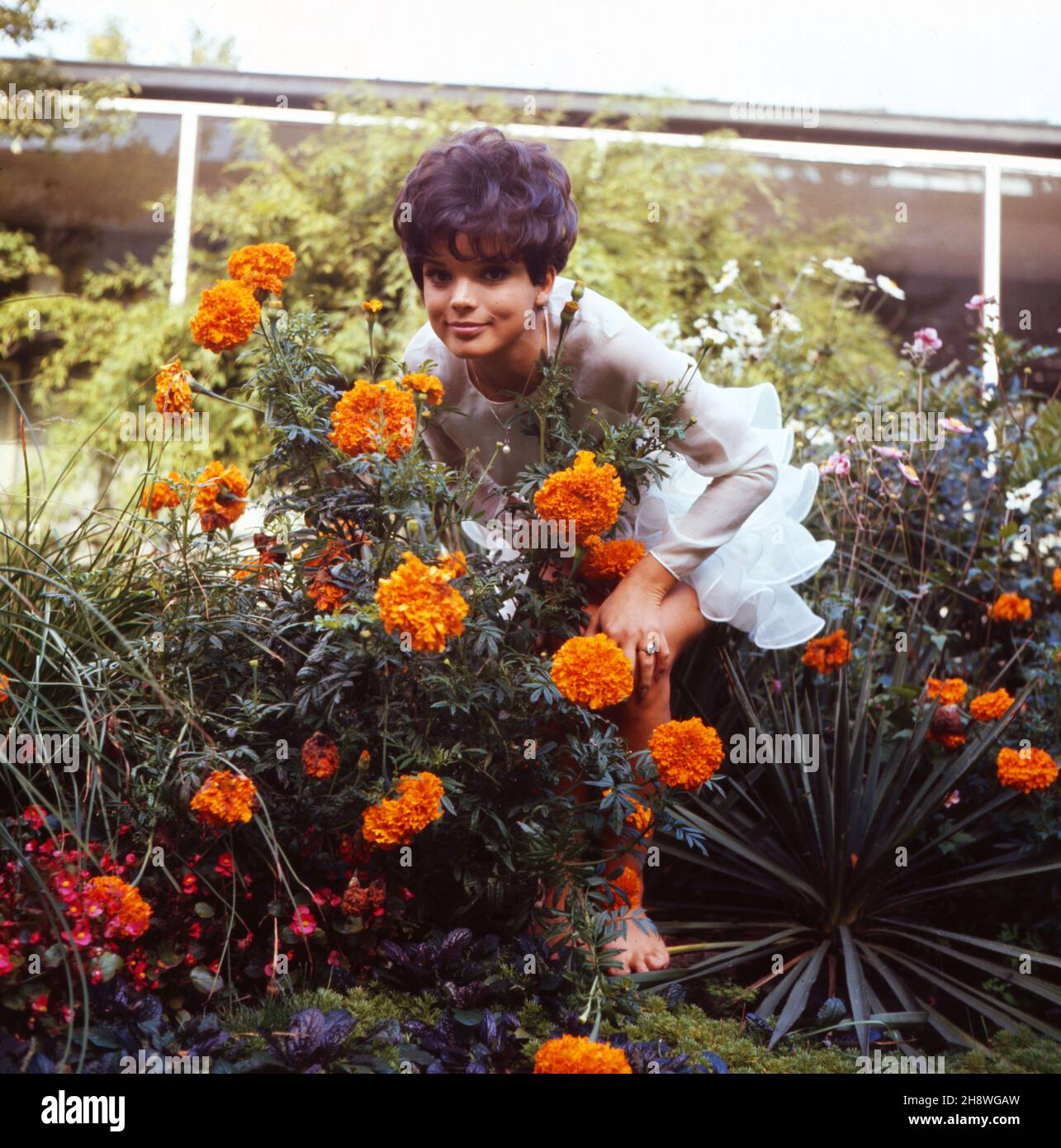 Die deutsche Schauspielerin Uschi Glas als Sängerin barfuß im Garten vor der TV Sendung "Musik ...