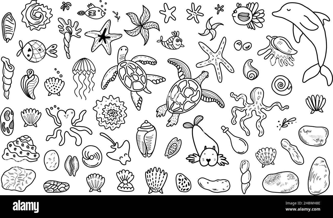 Dolphin zoology Stock Vector Images - Alamy