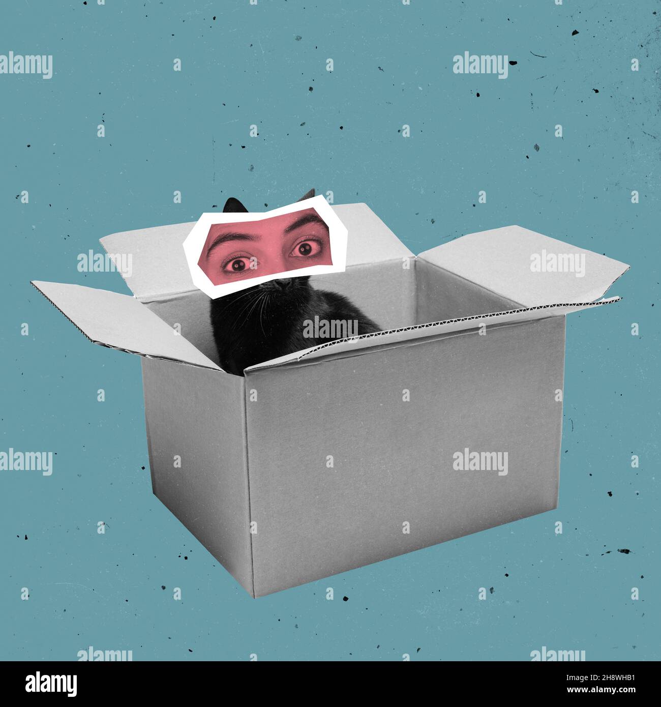 Contemporary art collage with fluffy cat with female eyes sitting into ...