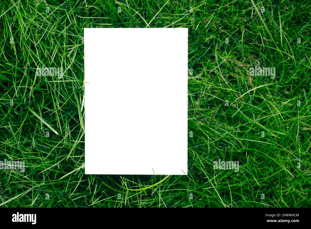 Paper grass texture hi-res stock photography and images - Alamy