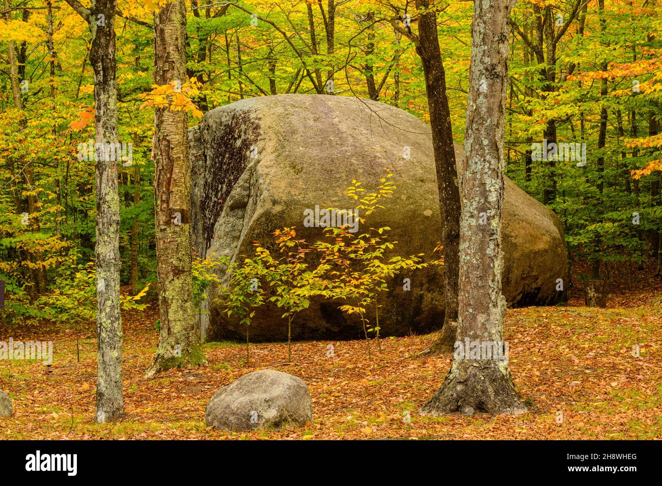 The Big Rock, Big Rock Campground, White Mountain National Forest, New ...