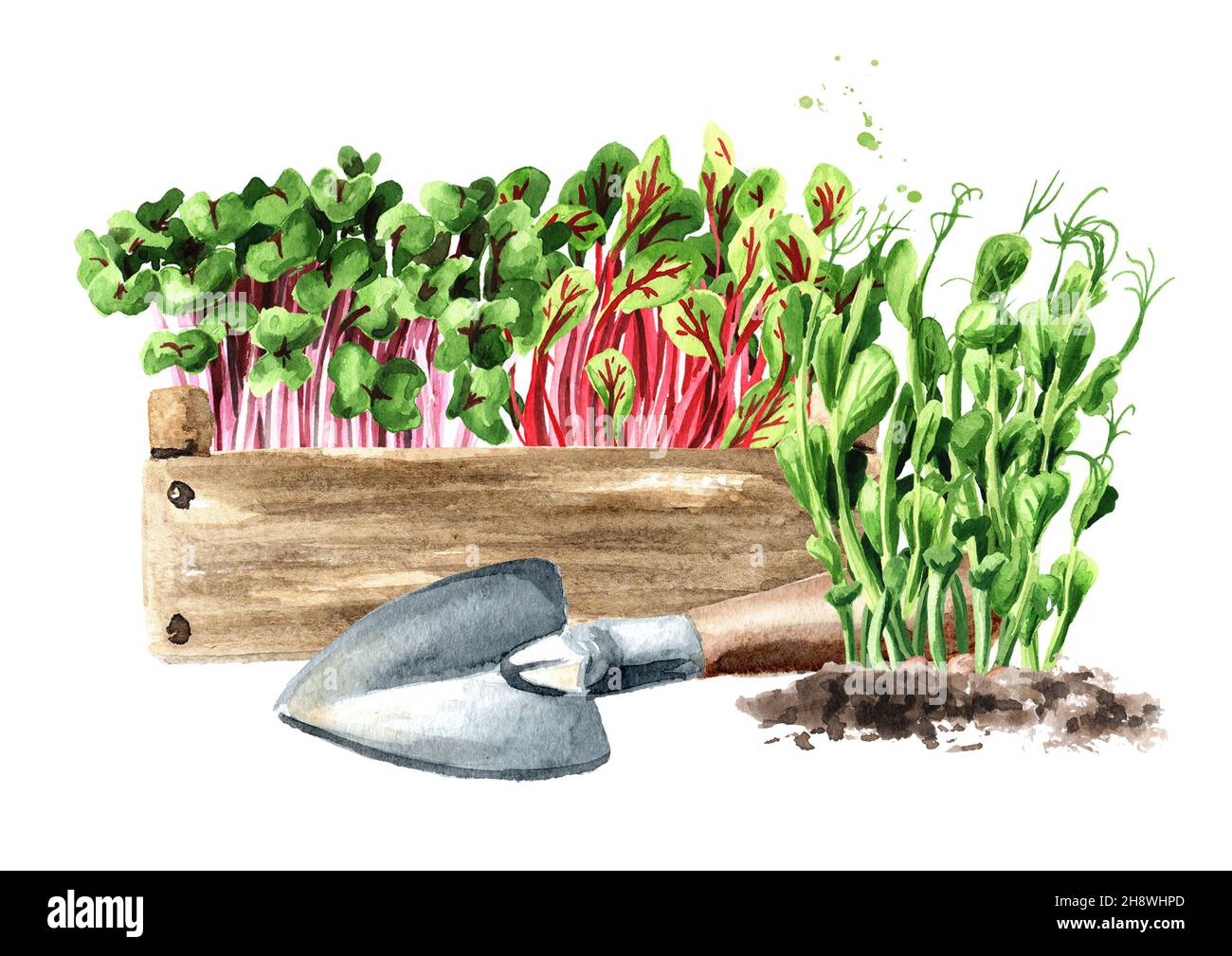 Sprouts ready for planting. Spring works in the garden. Hand drawn ...