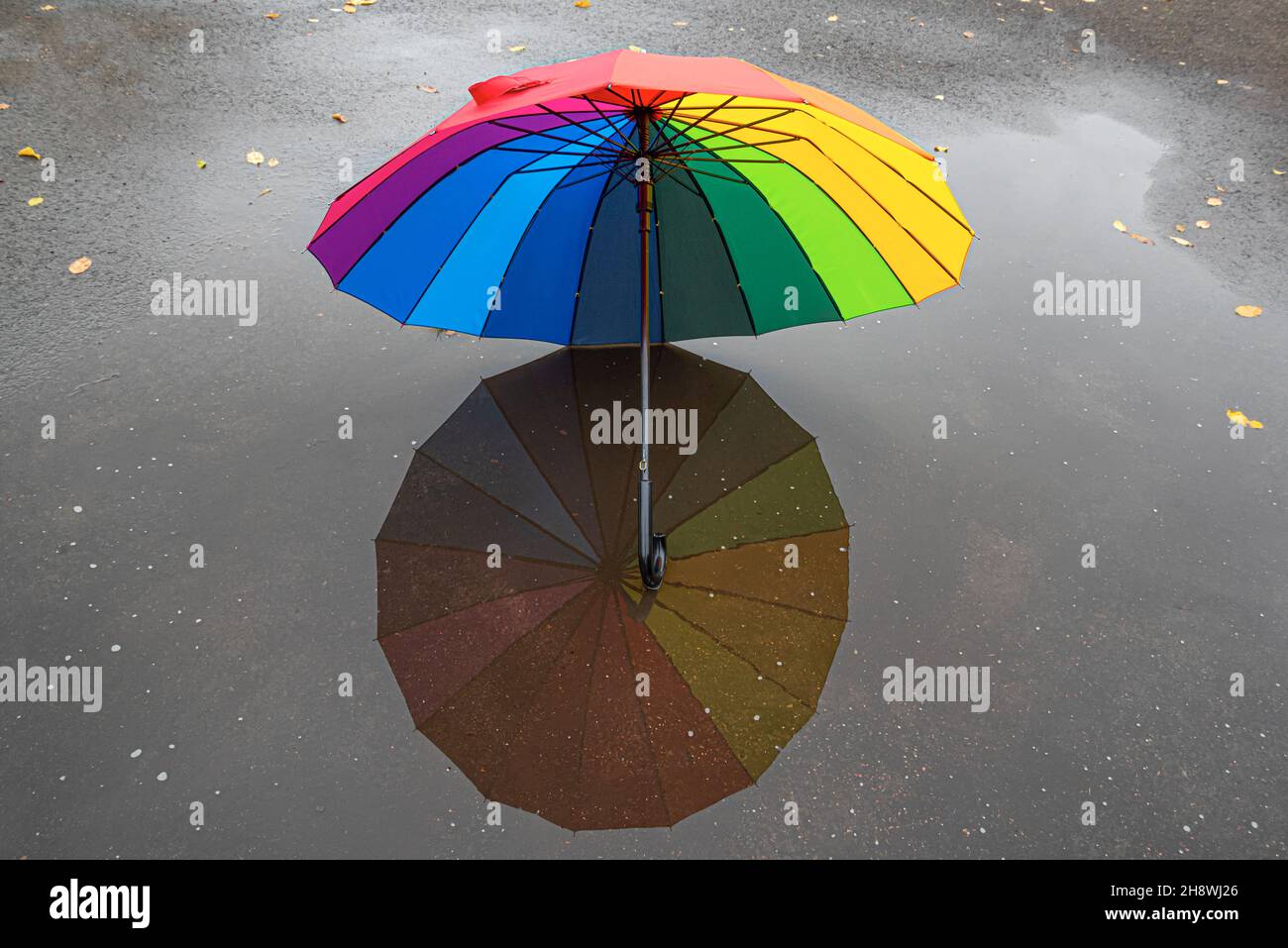 A multi-colored umbrella in a puddle Stock Photo - Alamy