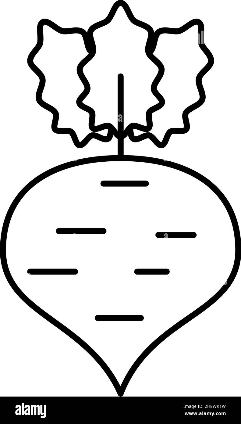 Radish farm Black and White Stock Photos & Images - Alamy