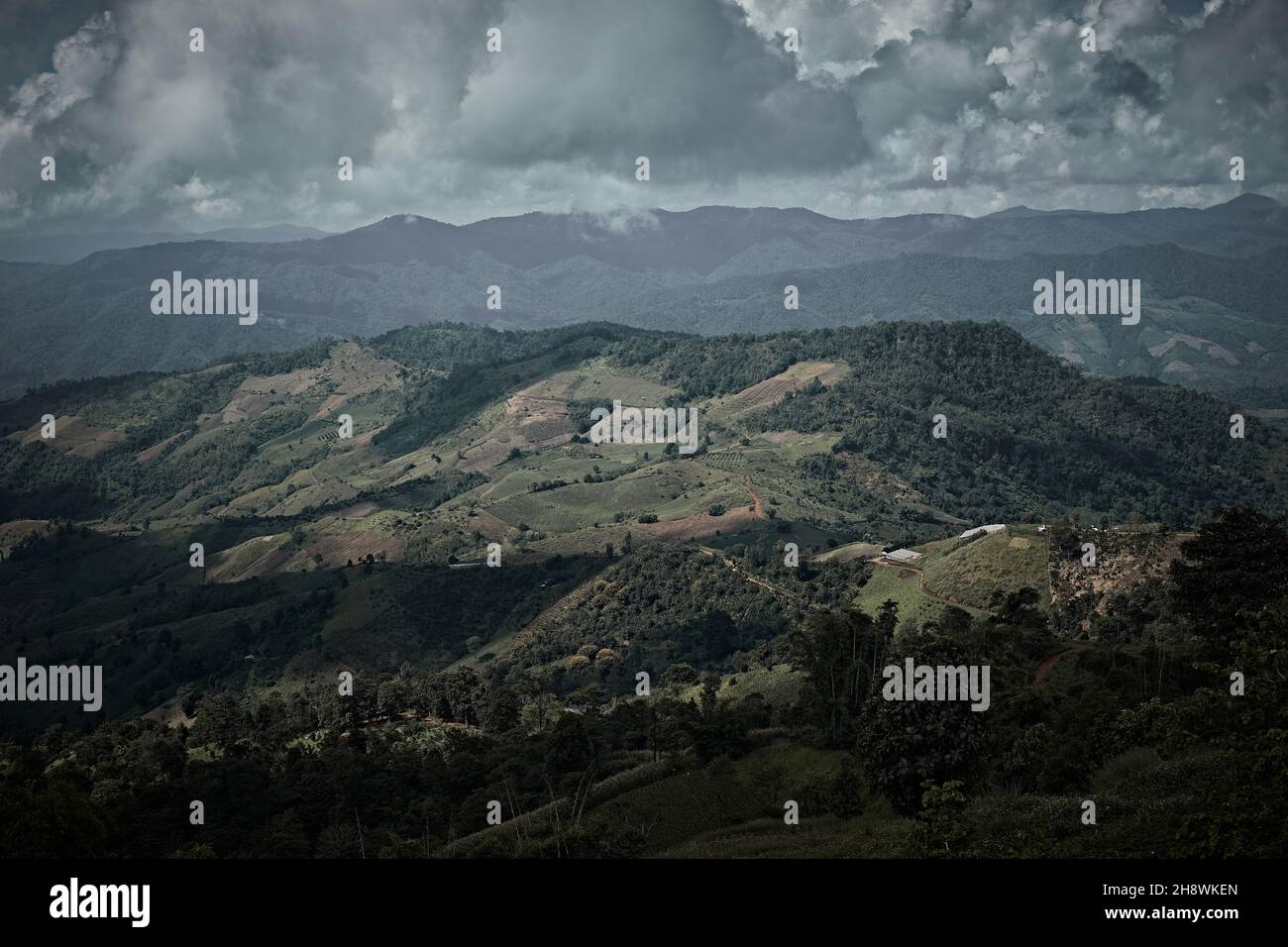 Mountain scenery in the beautiful winter,doi chang, Chiang Rai Stock ...