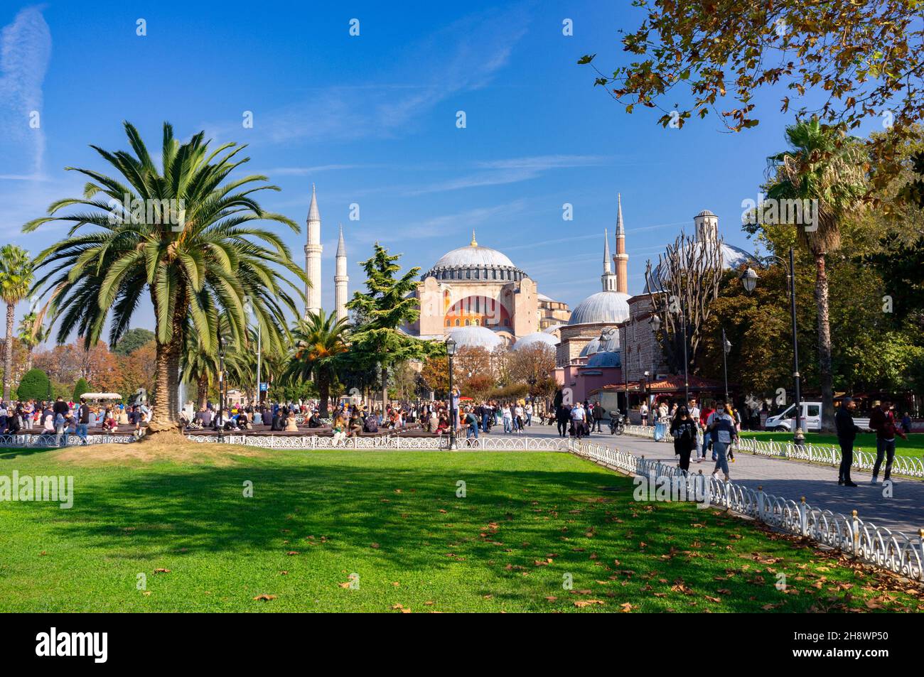 ISTANBUL, TURKEY - October 23, 2021: Palm tree on the green grass near ...