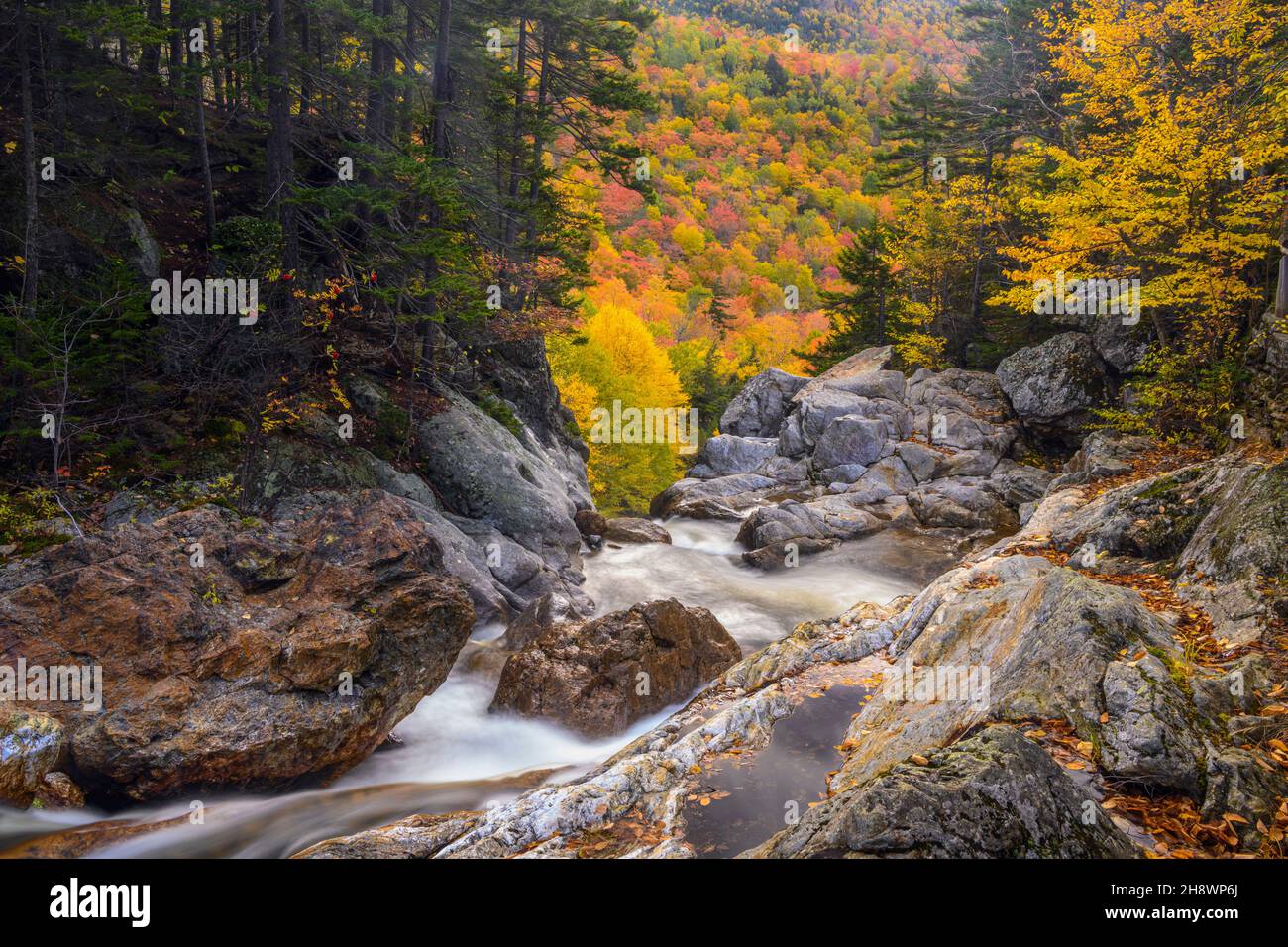 Autumn foliage on a mountainside behind the Ellis River above Glen ...
