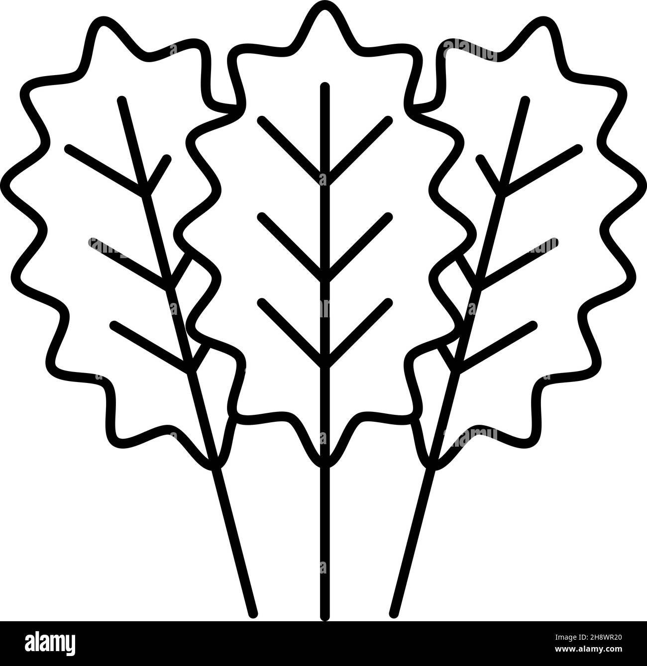 Kale Vegetable Icon Vector Outline Stock Vector Image & Art - Alamy