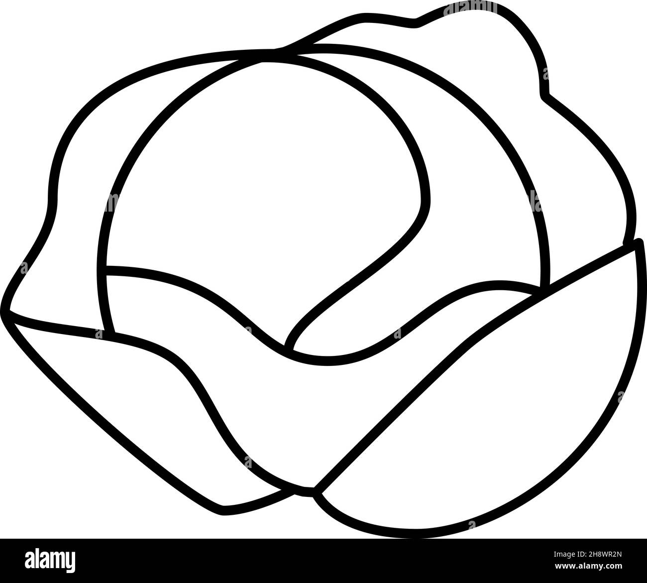 Green white cabbage iceberg Stock Vector Images - Alamy