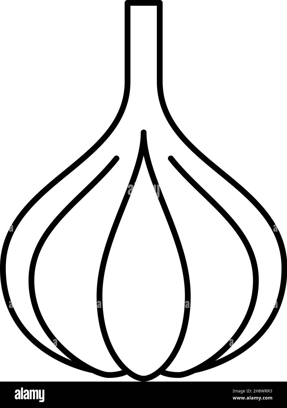 Garlic Outline