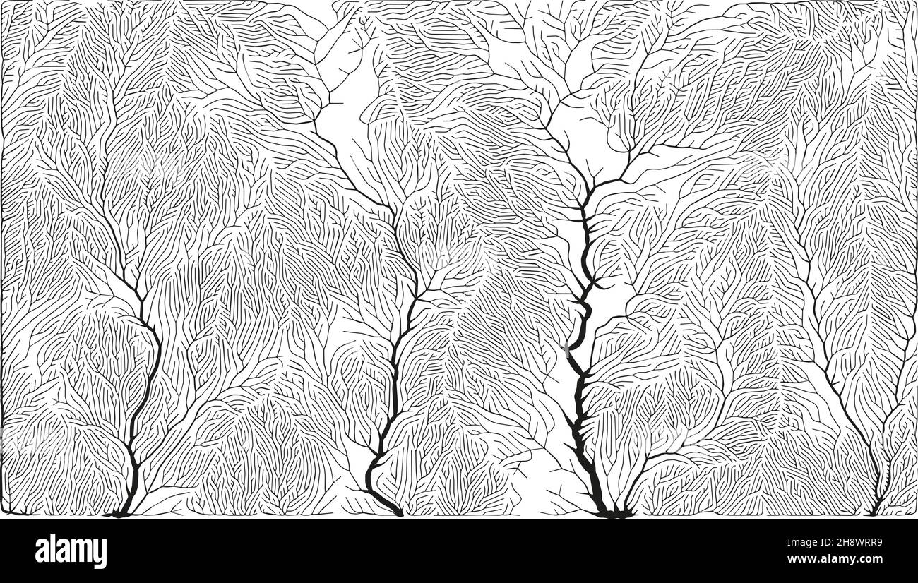 Growth pattern. Generative branching structure. Organic net of vessels ...