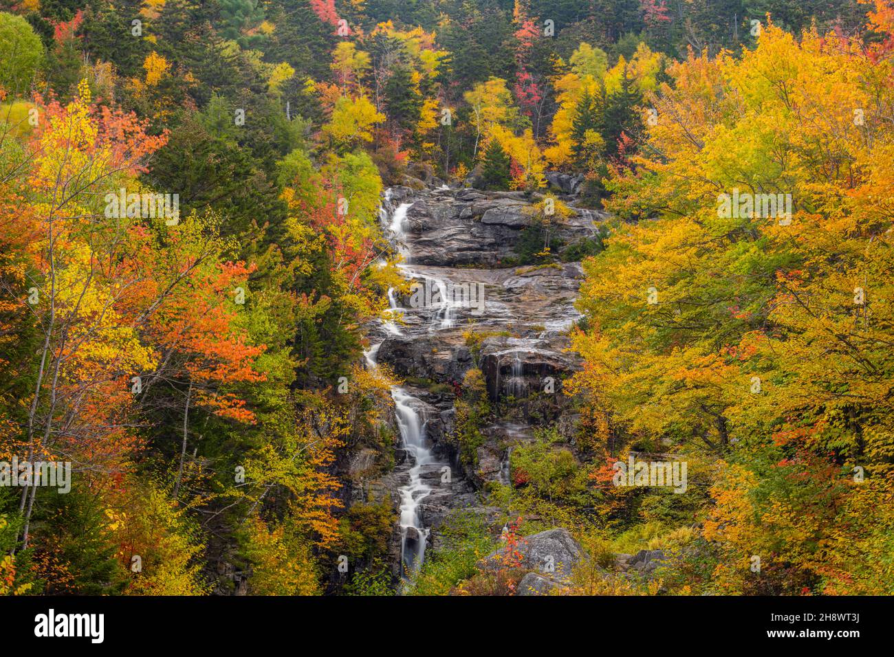 Silver Cascade, Crawford Notch State Park, New Hampshire, USA Stock ...