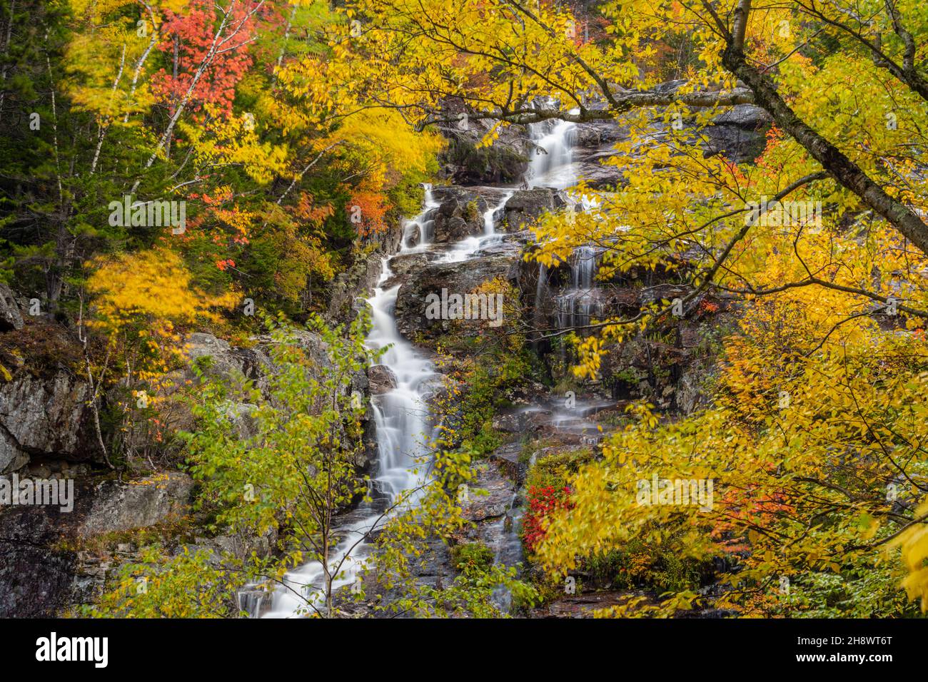 Silver Cascade, Crawford Notch State Park, New Hampshire, USA Stock ...
