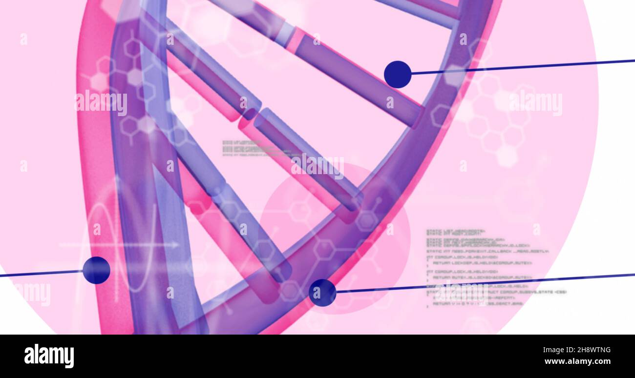 Image of scientific data processing over dna strand spinning Stock ...