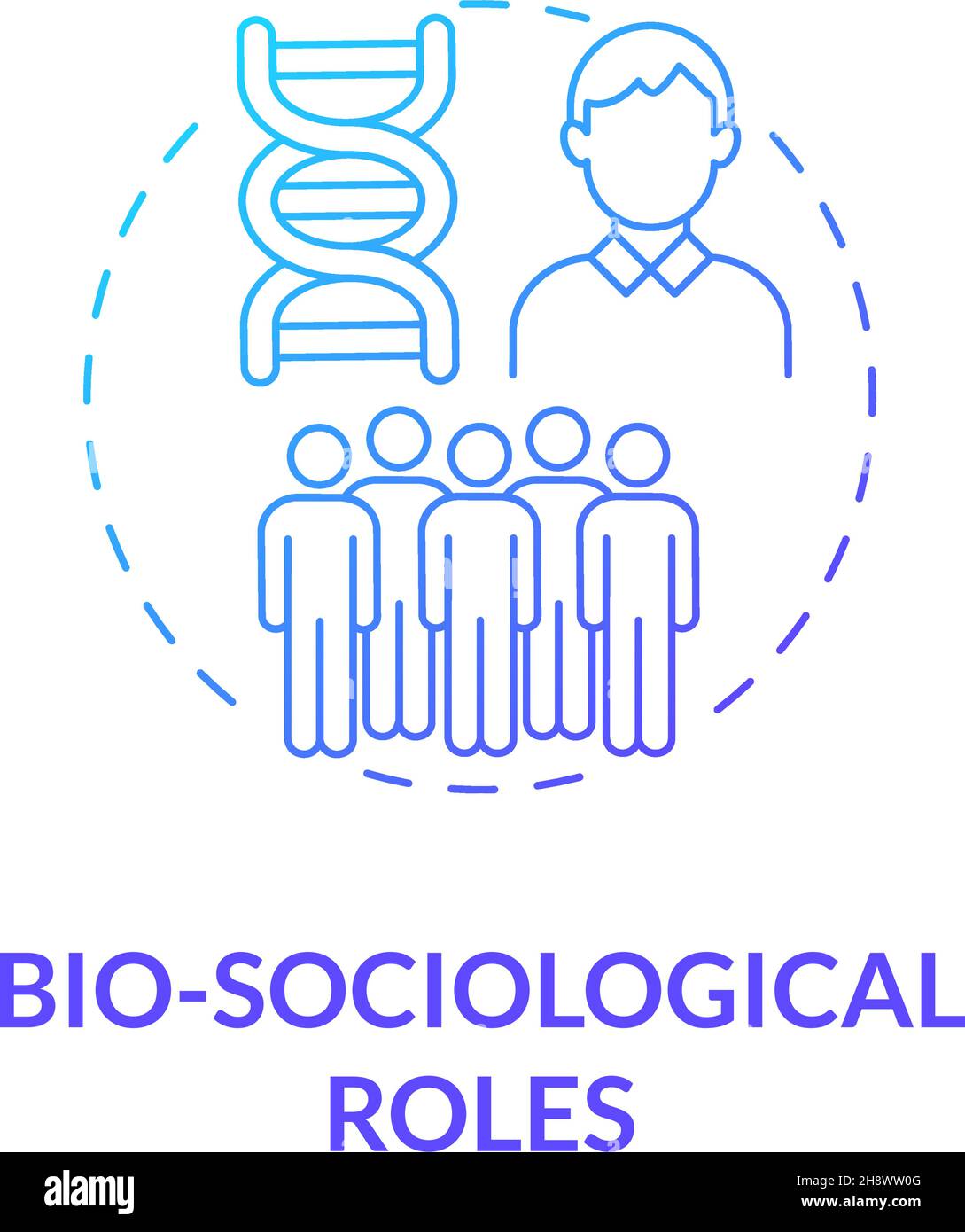 Bio sociological roles blue gradient concept icon Stock Vector Image ...