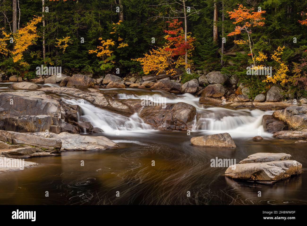 Autumn trees overhanging the Swift River, Lower Falls Scenic Area ...