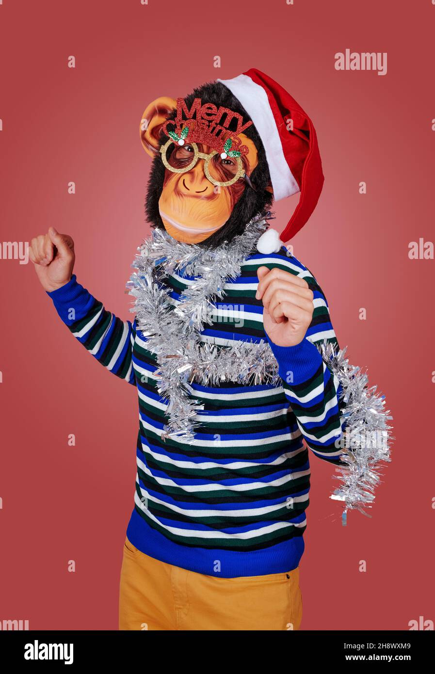 Monkey with eyeglasses hi-res stock photography and images - Alamy