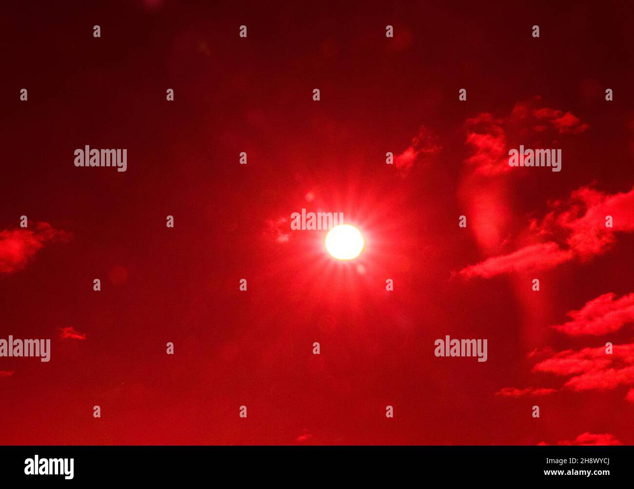 The solar disk and the solar halo (aureole) in the red sky ...