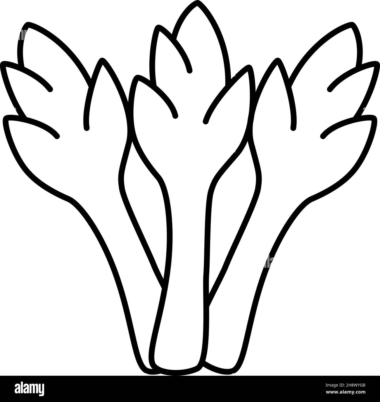 Line asparagus Black and White Stock Photos & Images - Alamy