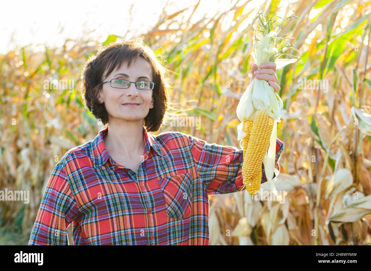 Female checking corn hi-res stock photography and images - Alamy
