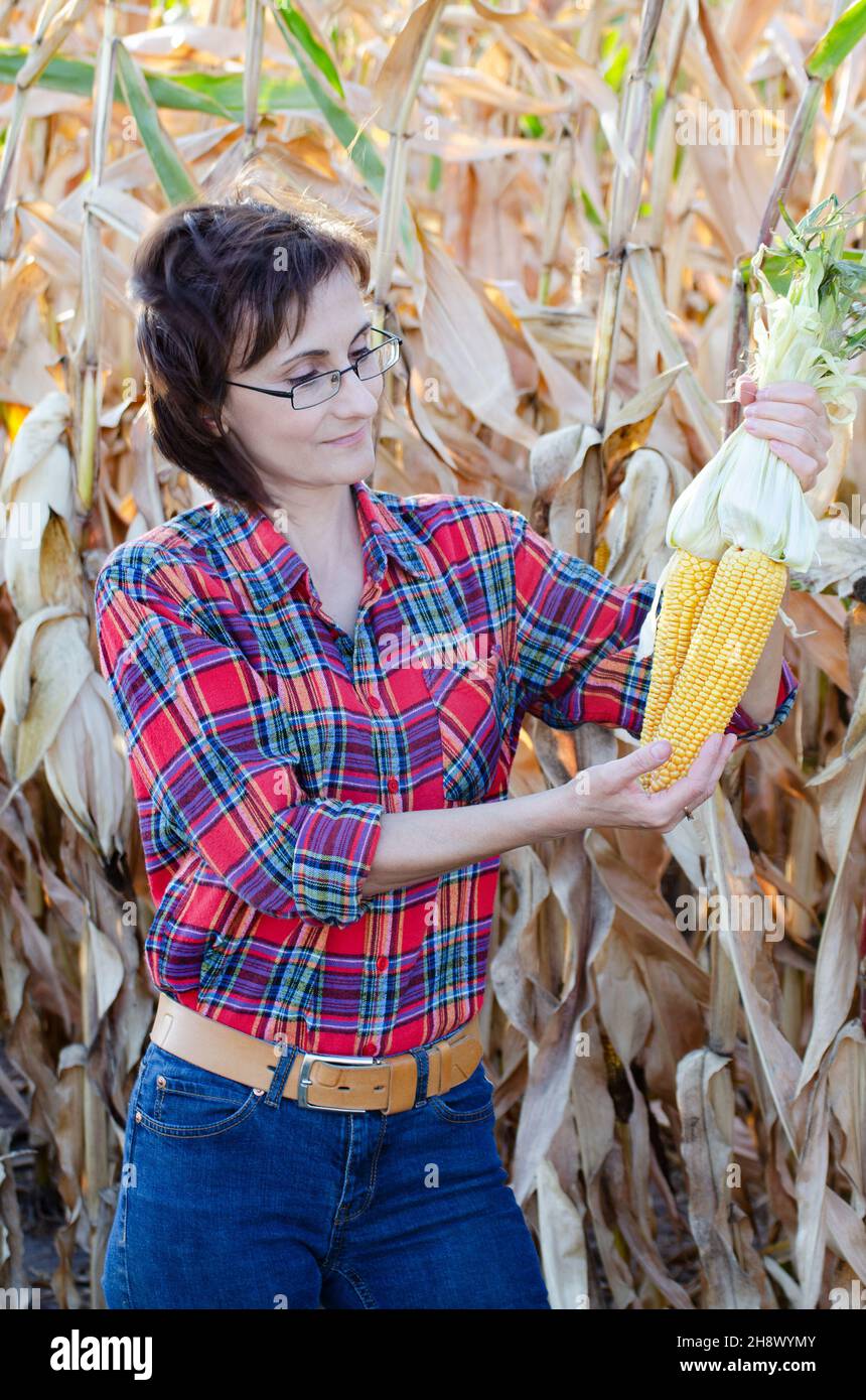 Maize worker hi-res stock photography and images - Alamy