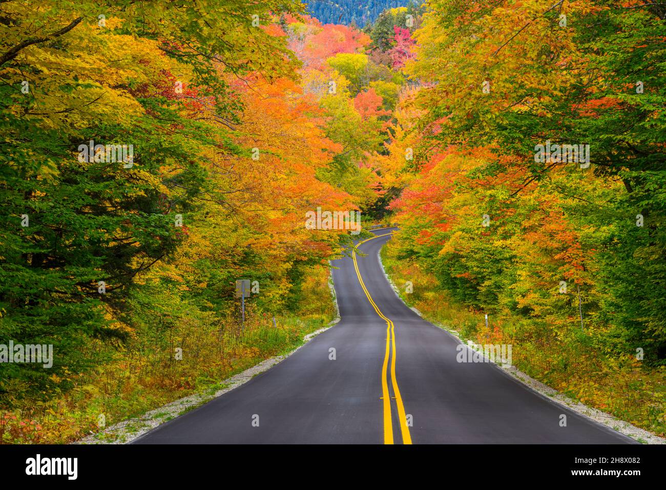 Bear Notch Road in autumn, New Hampshire, USA Stock Photo - Alamy