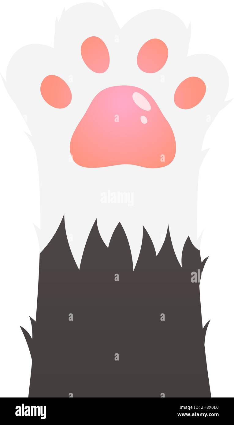 Cartoon cat hand. Fluffy fur animal paw Stock Vector Image & Art - Alamy