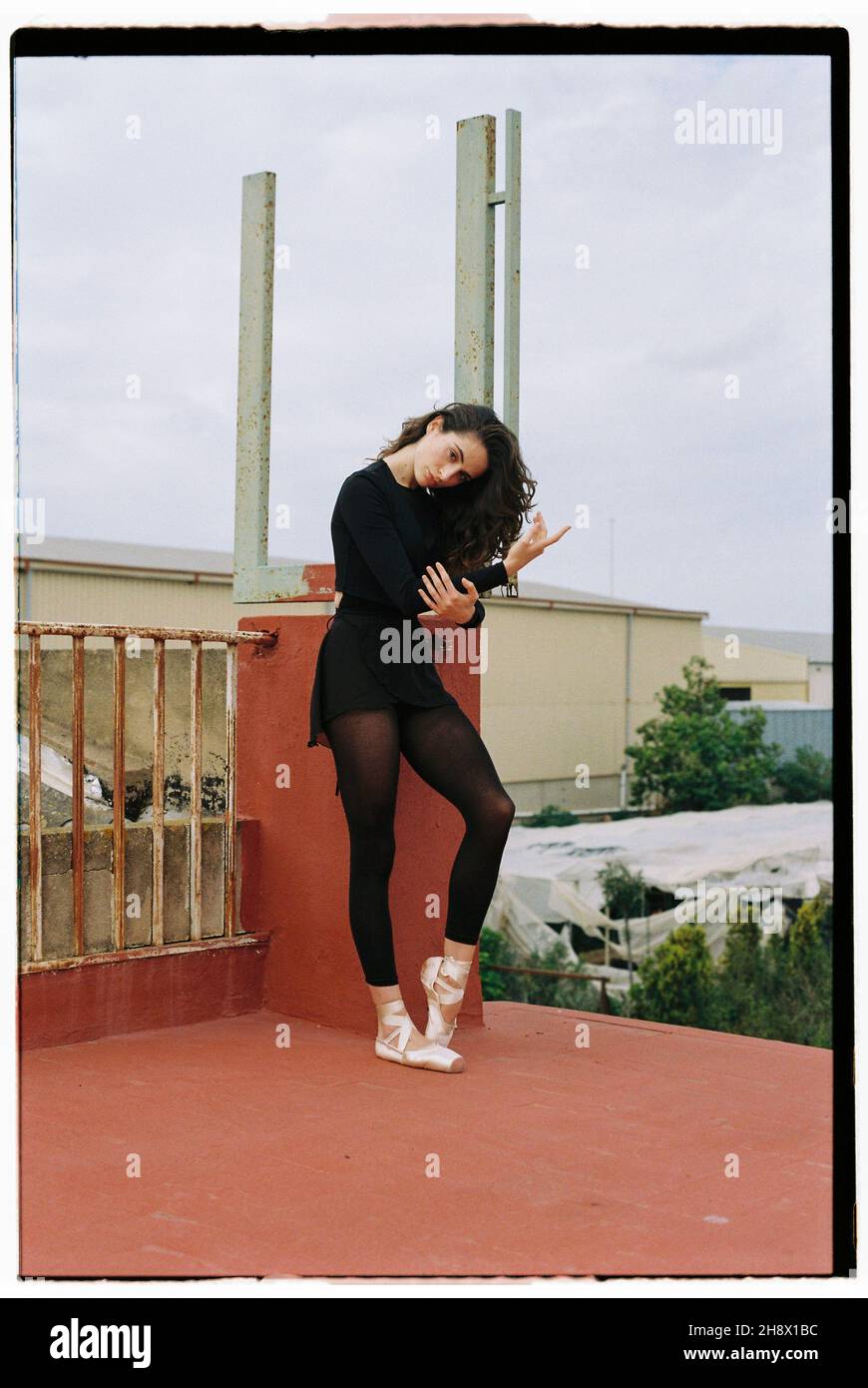 Dark black roo hi-res stock photography and images - Alamy