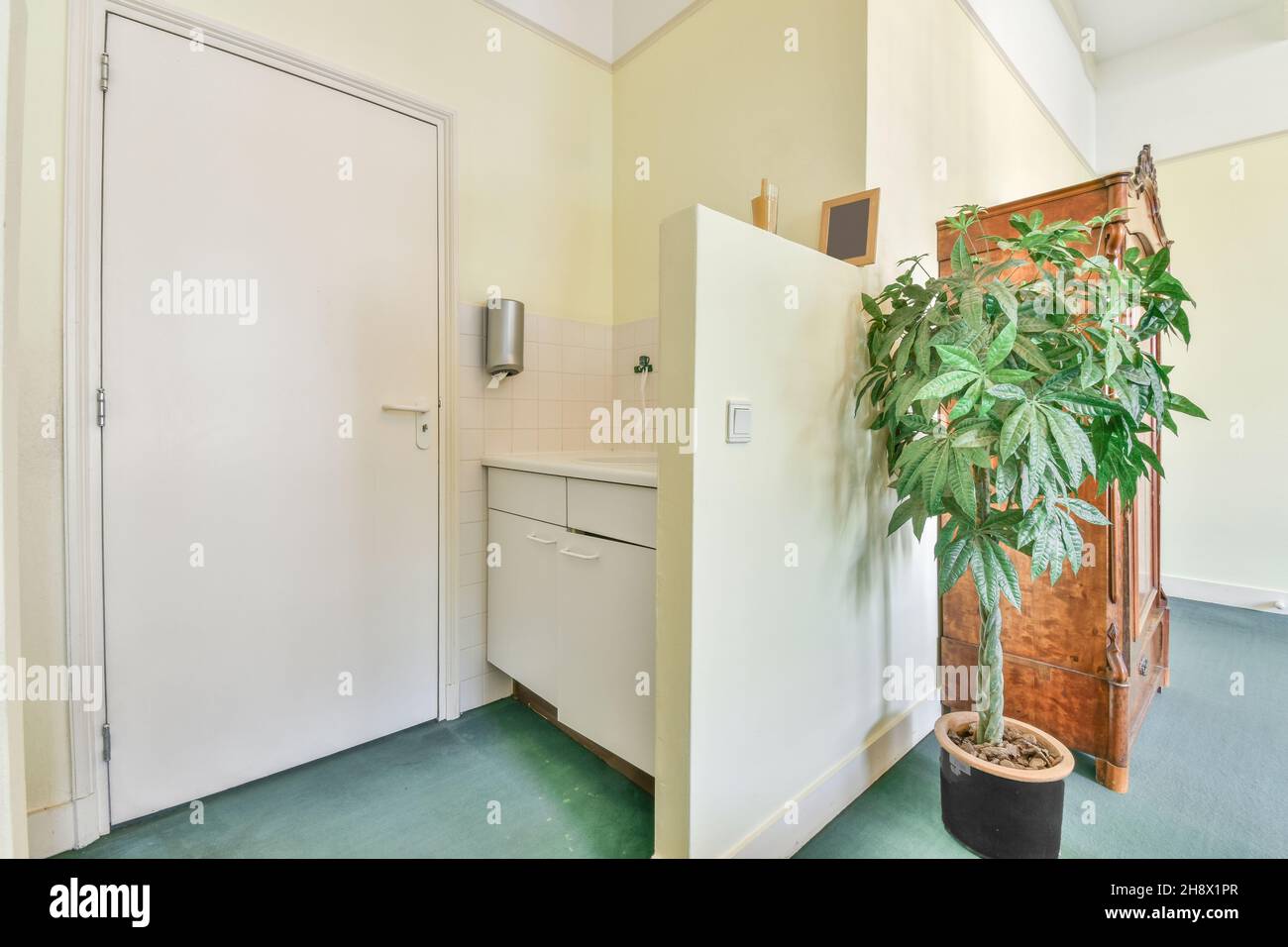 Flowerpot with tall green plant near wooden cupboard placed at ...