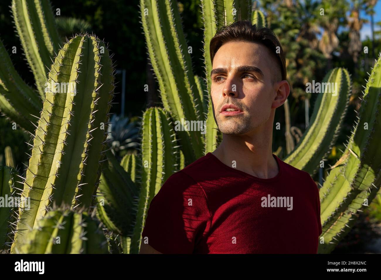 Exotic male model hi-res stock photography and images - Alamy
