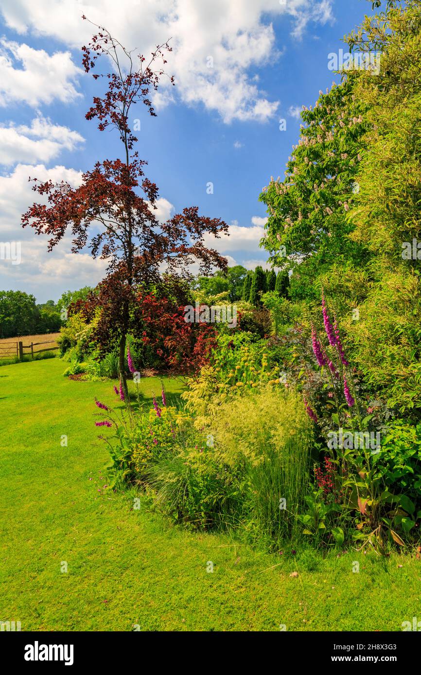 The Grass Garden at Burrow Farm Garden – created by Mary Benger since ...
