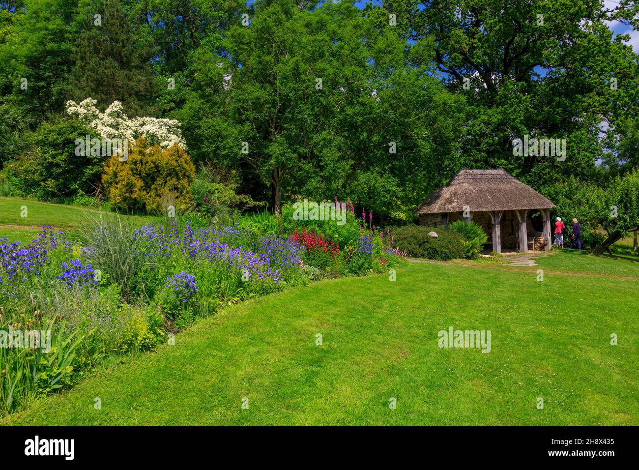 A colourful summer border created by Mary Benger at Burrow Farm Garden ...