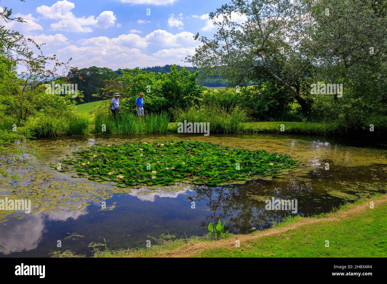 English garden pond hi-res stock photography and images - Alamy