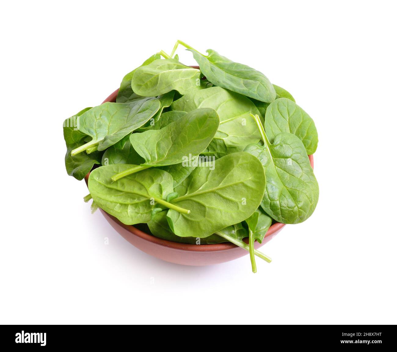 Fresh bunch of spinach in the bowl. Isolated on White background Stock ...