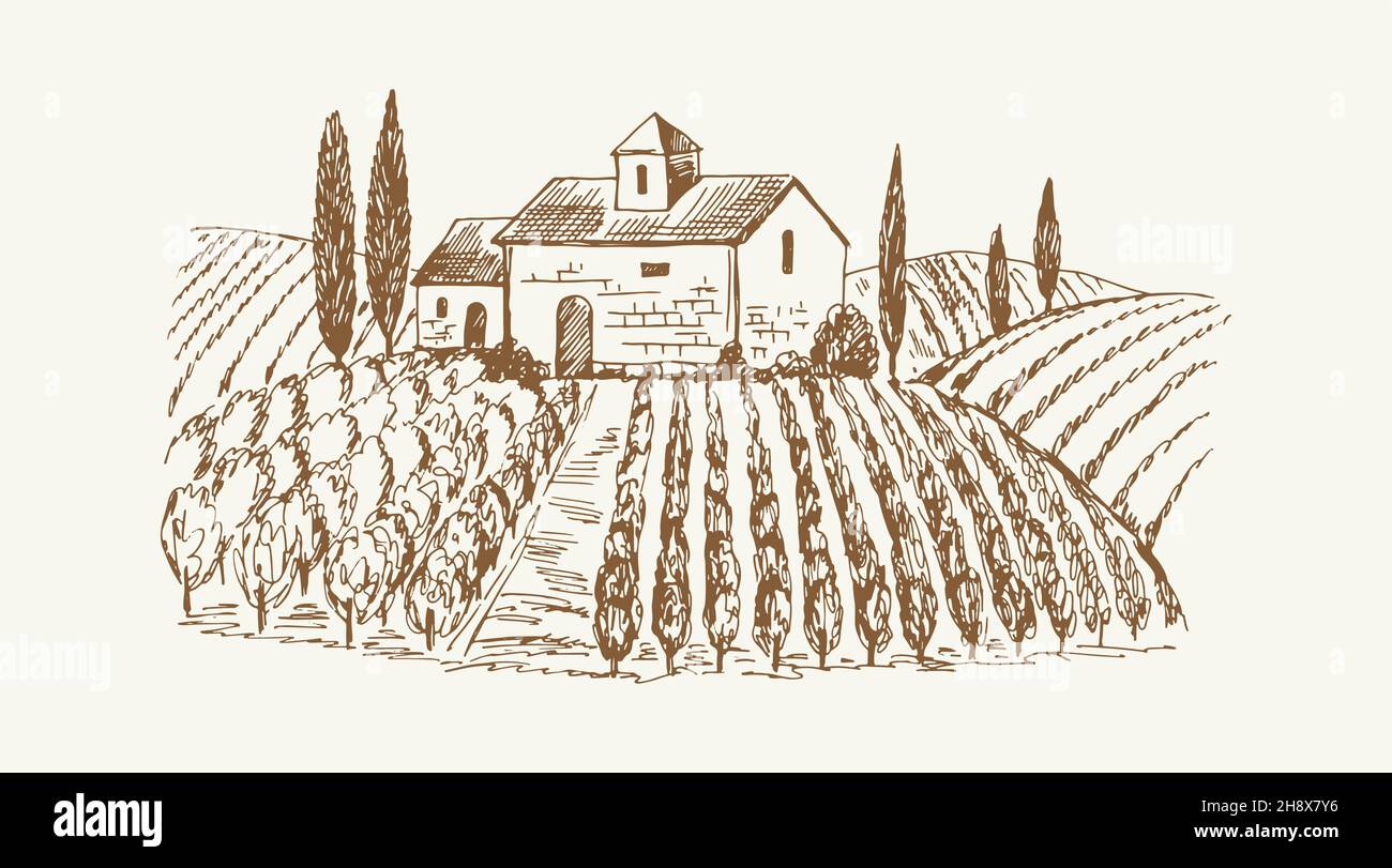 Sketch landscape with castle. Medieval farm, nature and vine plantation. Vintage vineyard ...