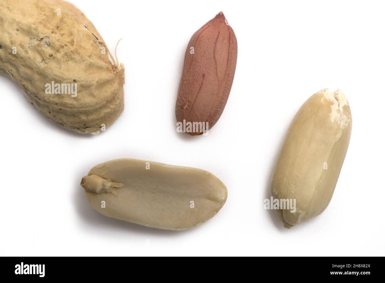 Close up of peanut in its different stages on white background Stock ...