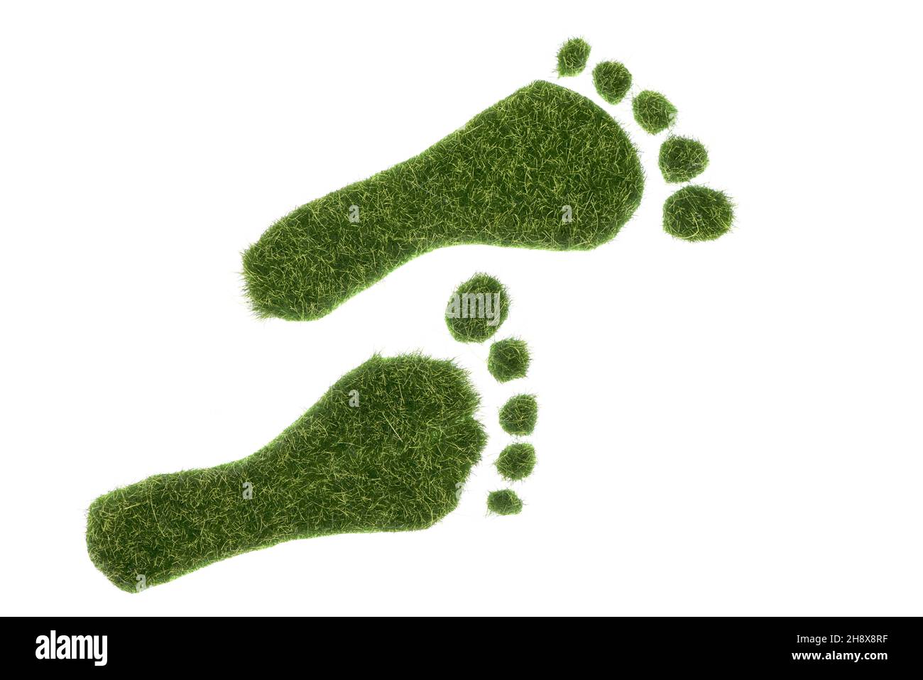 two footprints of green grass isolated on white background as concept ...