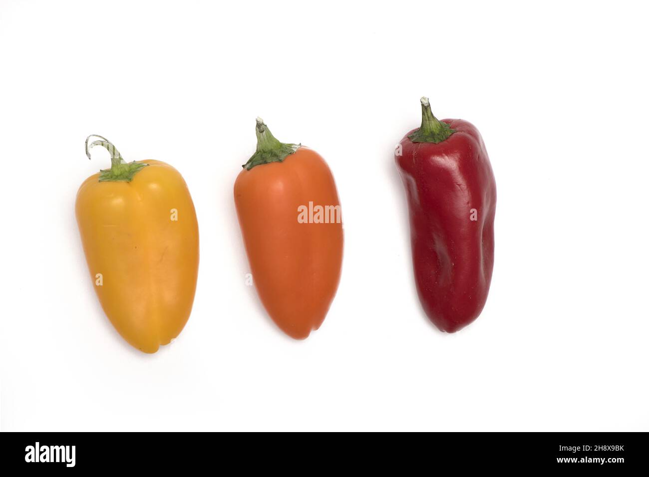 three different colored snack bell pepper pods in yellow orange and red ...